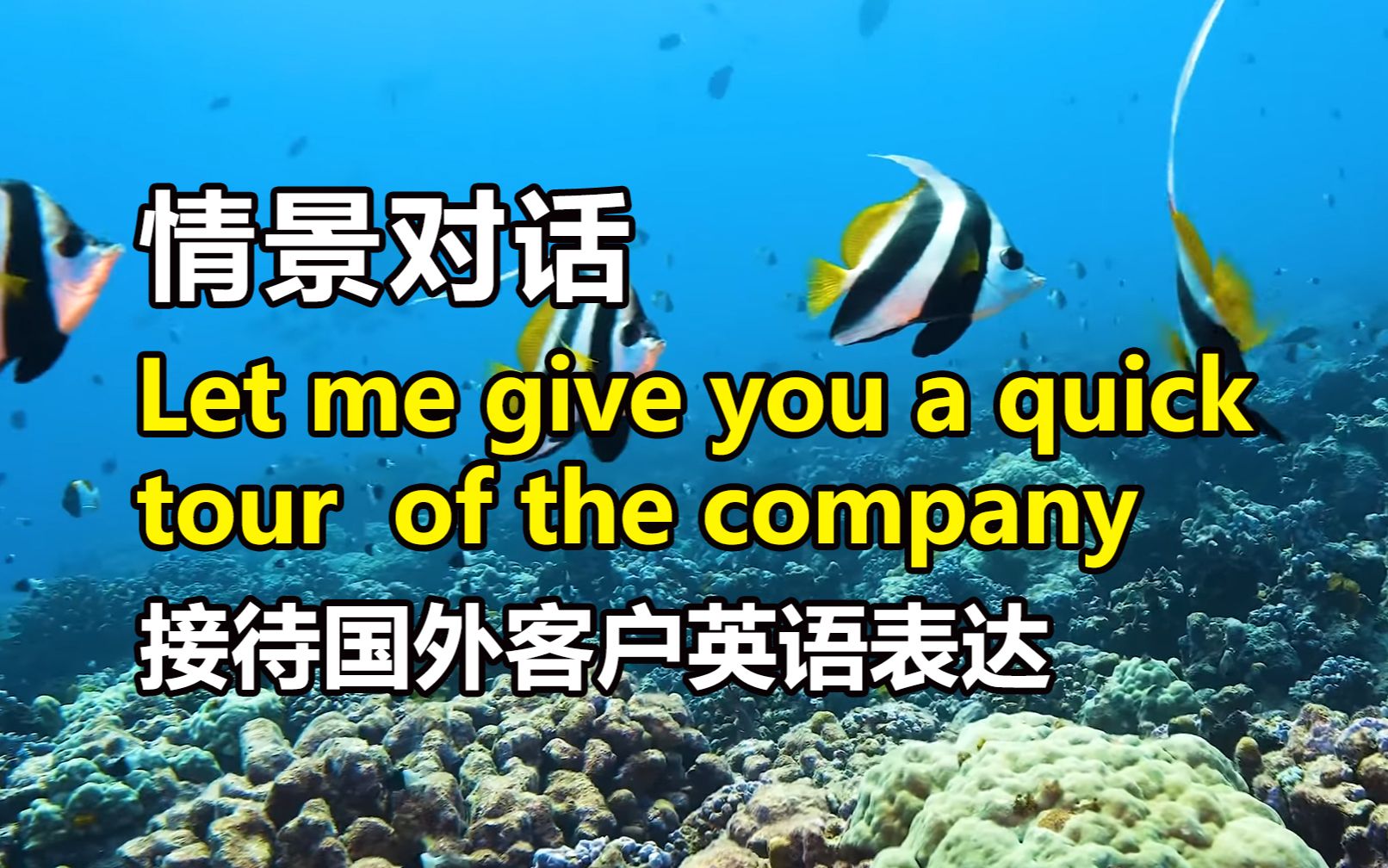 「情景对话 」Common English expressions for receiving foreign ...