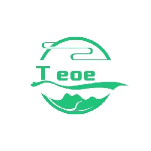 Teoein 