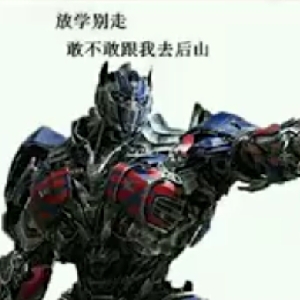 这里有只up主装B 