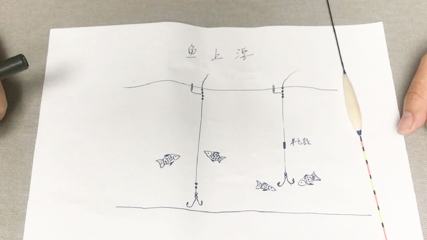 钓鱼经验,如何判断鱼上浮和应对方法