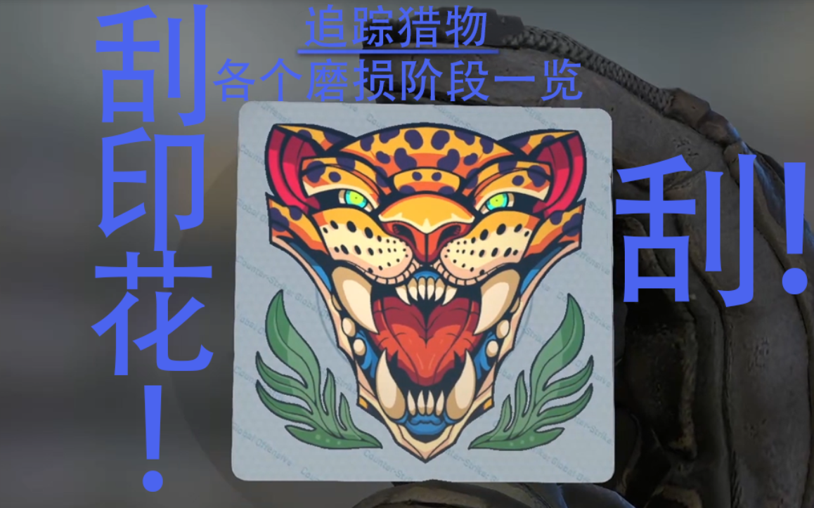 【CSGO刮印花】#11 印花︱追踪猎物