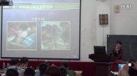 2013综合实践说课6