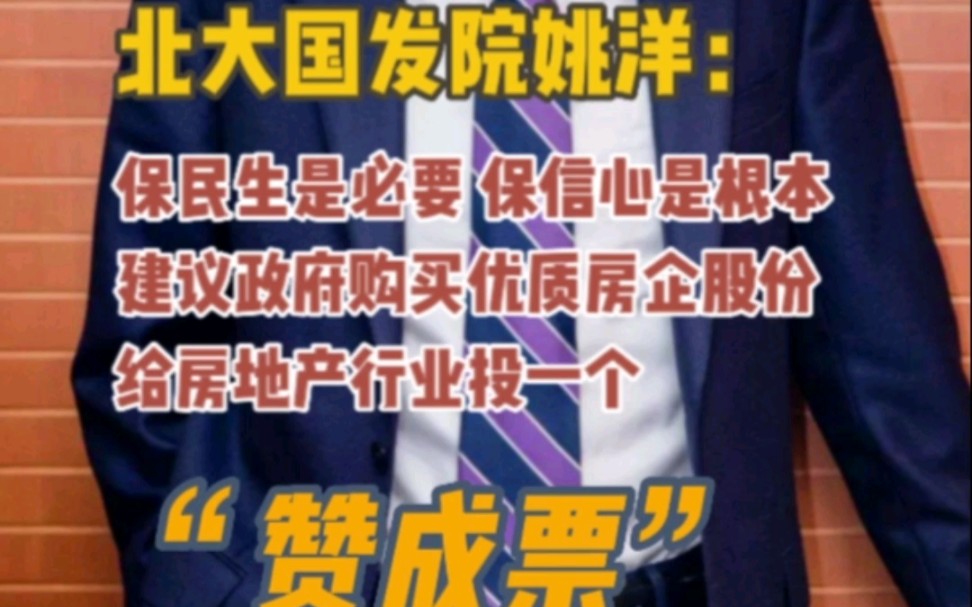 姚洋:建议政府买优质房企股份