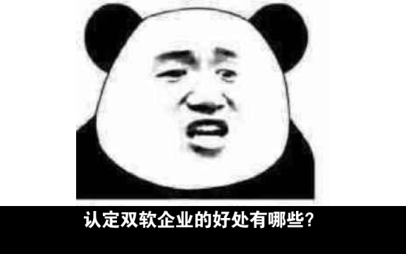 认定双软企业的好处有哪些?