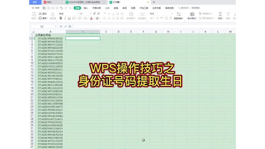 WPS表格技巧之身份证号提取生日#小技