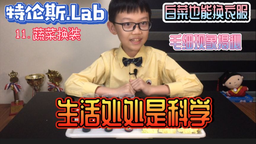 开学了也可以继续做实验学知识,特伦斯带你认识毛细现象