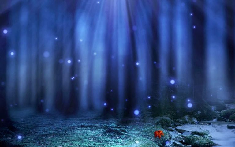 视频素材丨(35)梦幻童话森林