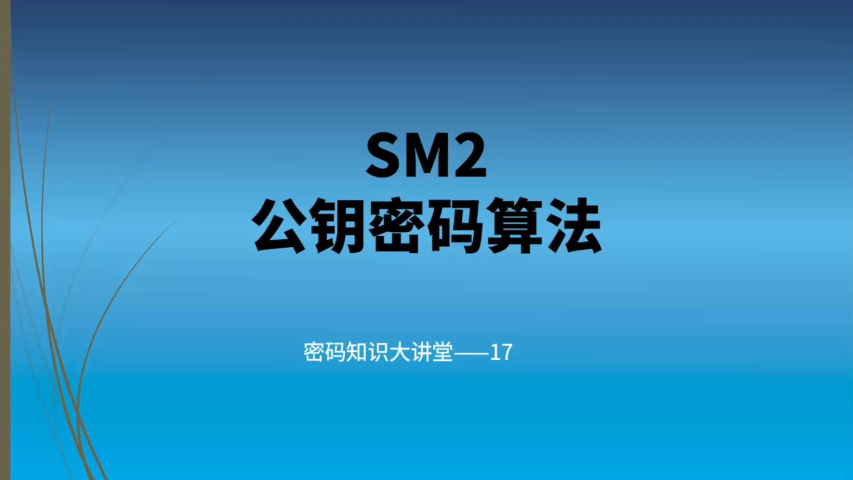 SM2数字签名算法的私钥签名,公钥验签的详细过程。