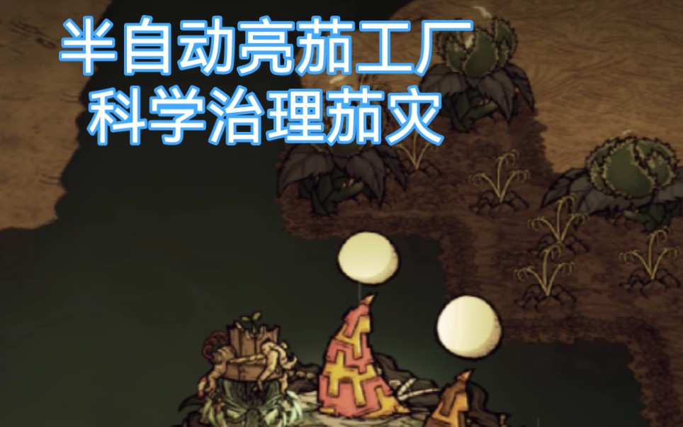 【饥荒】如何科学治理茄灾,半自动亮茄工厂_饥荒联机版