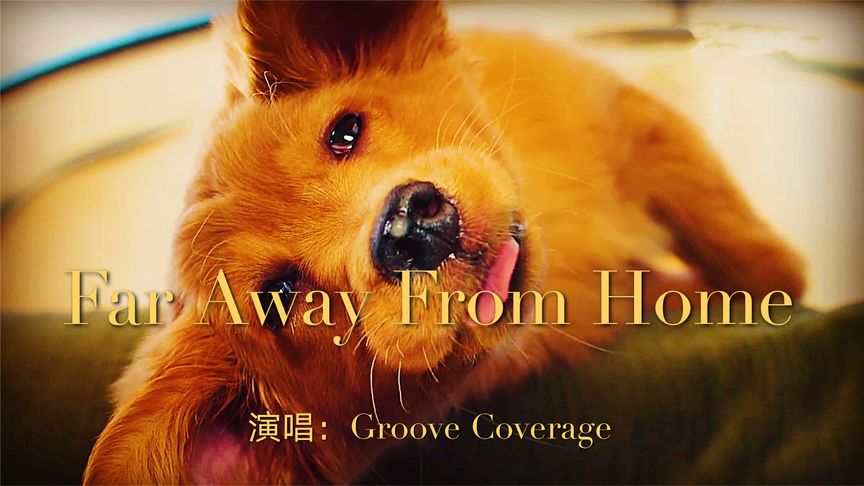 全球最好听歌曲之一《Far Away From Home》,梦中我从未离开家园