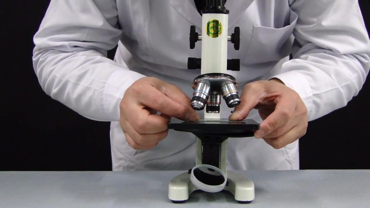 初中生物学实验指导与拓展丨观察叶片的结构