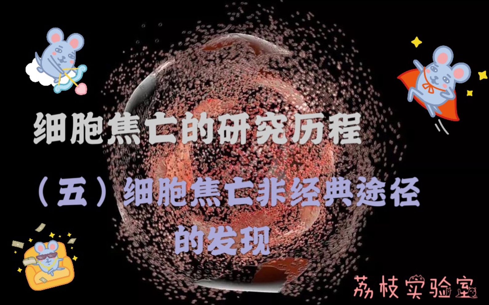 细胞焦亡历程全景式展现|细胞焦亡非经典途径的发现|荔枝实验室细胞...