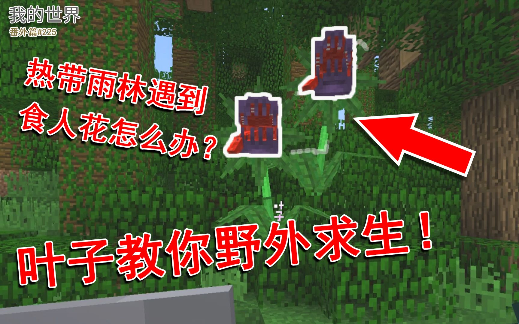 我的世界:热带雨林遇到食人花怎么办?叶子教你野外求生![番外篇225]