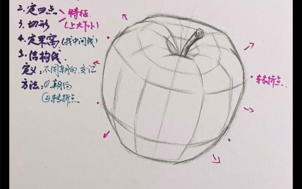 【静物素描】结构线的理解