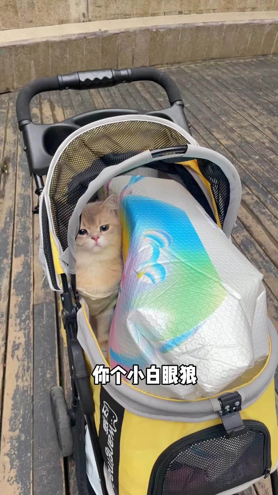 用了一下他的推推车拿快递,他就委屈了