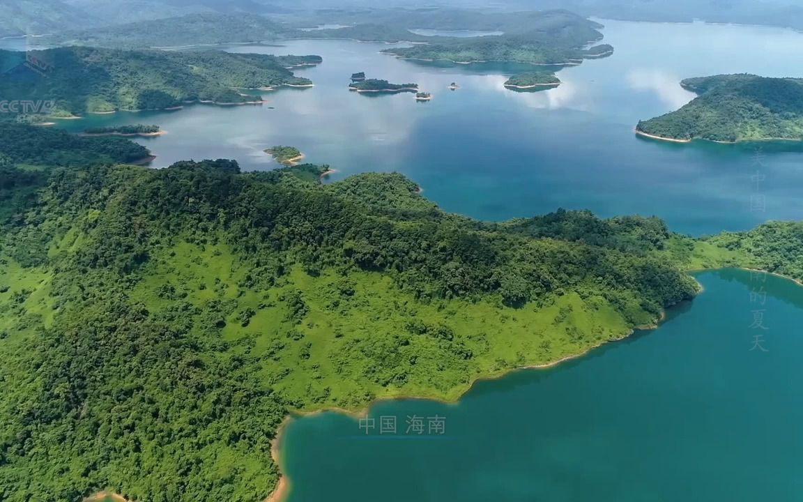 海南这些荔枝的名字可爱又形象