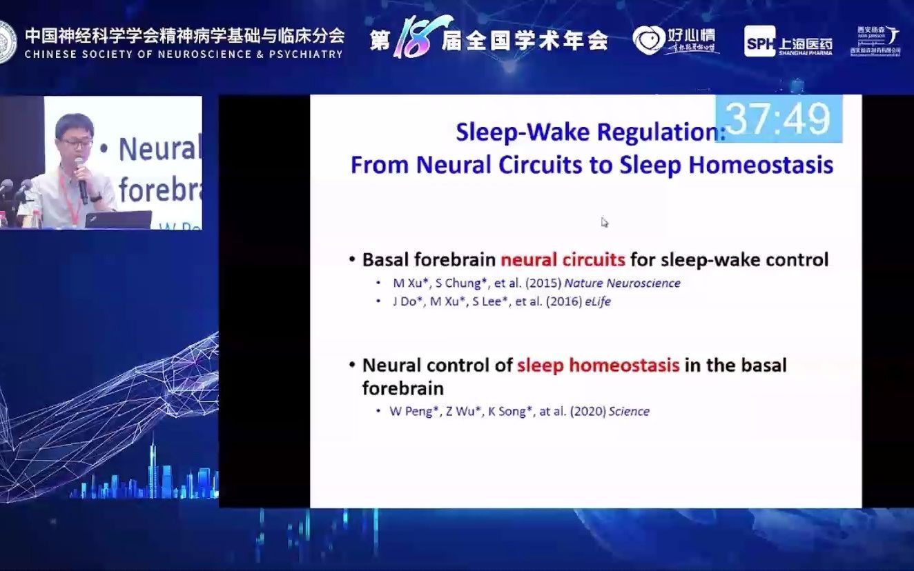 基底前脑对睡眠觉醒的调控:从神经环路到睡眠稳态