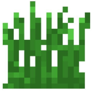 liu_bili_Grass 