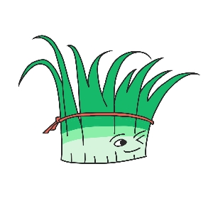 是菲莱吖 