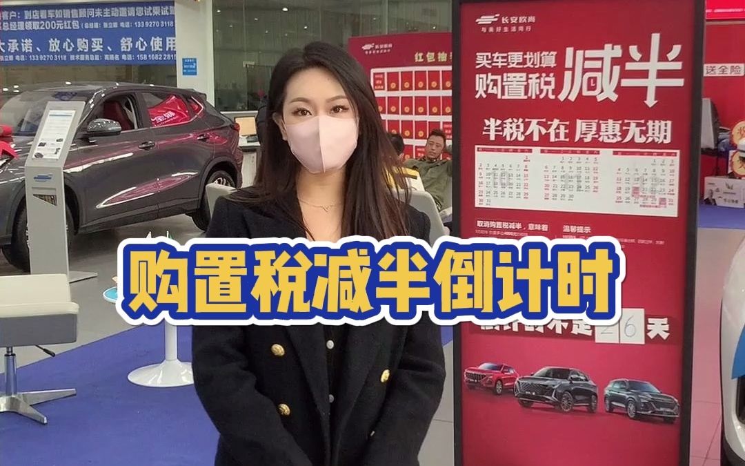 购置税减半政策倒计时,你还不出手吗?