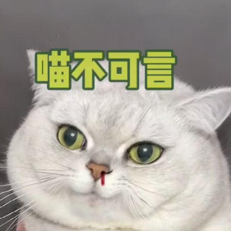 李优秀778 