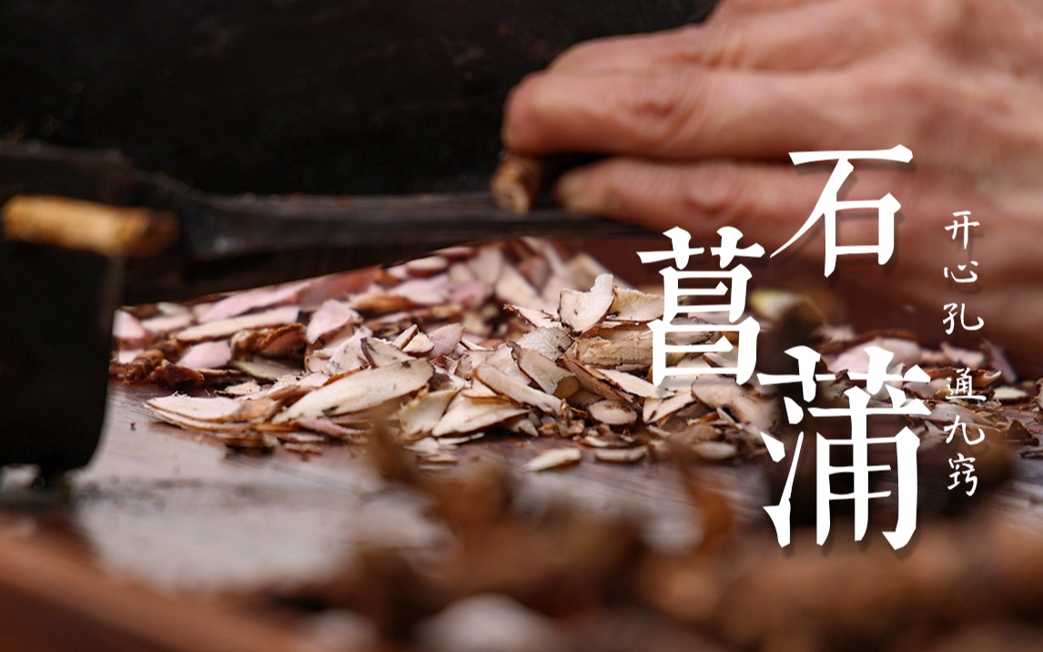中药炮制 石菖蒲 开窍醒神益智