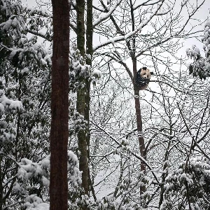 心里只有苏格拉 