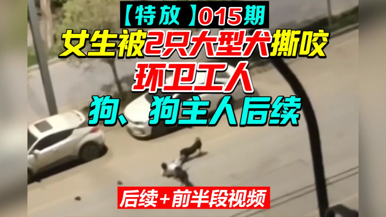 后续特放:女生被2只大型犬撕咬(后续+完整视频)【特放015期】