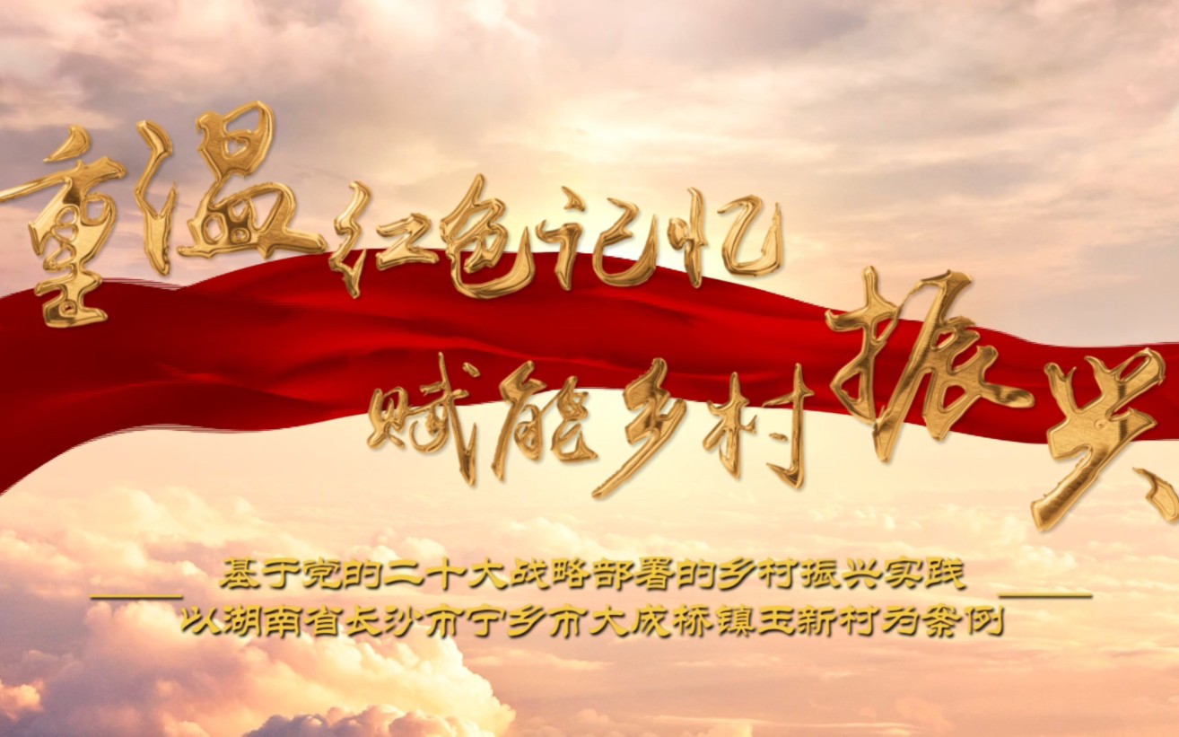 ...的乡村振兴实践——以湖南省长沙市宁乡市大成桥镇玉新村为案例》