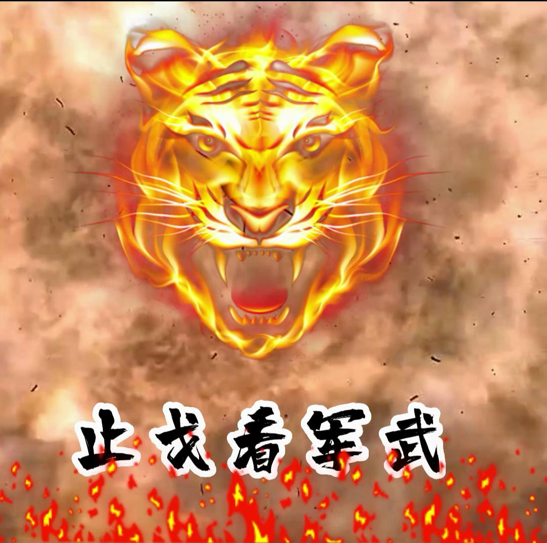 止戈看军武 