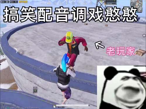 搞笑配音戏耍憨憨分享一下你们的老6表情包呗