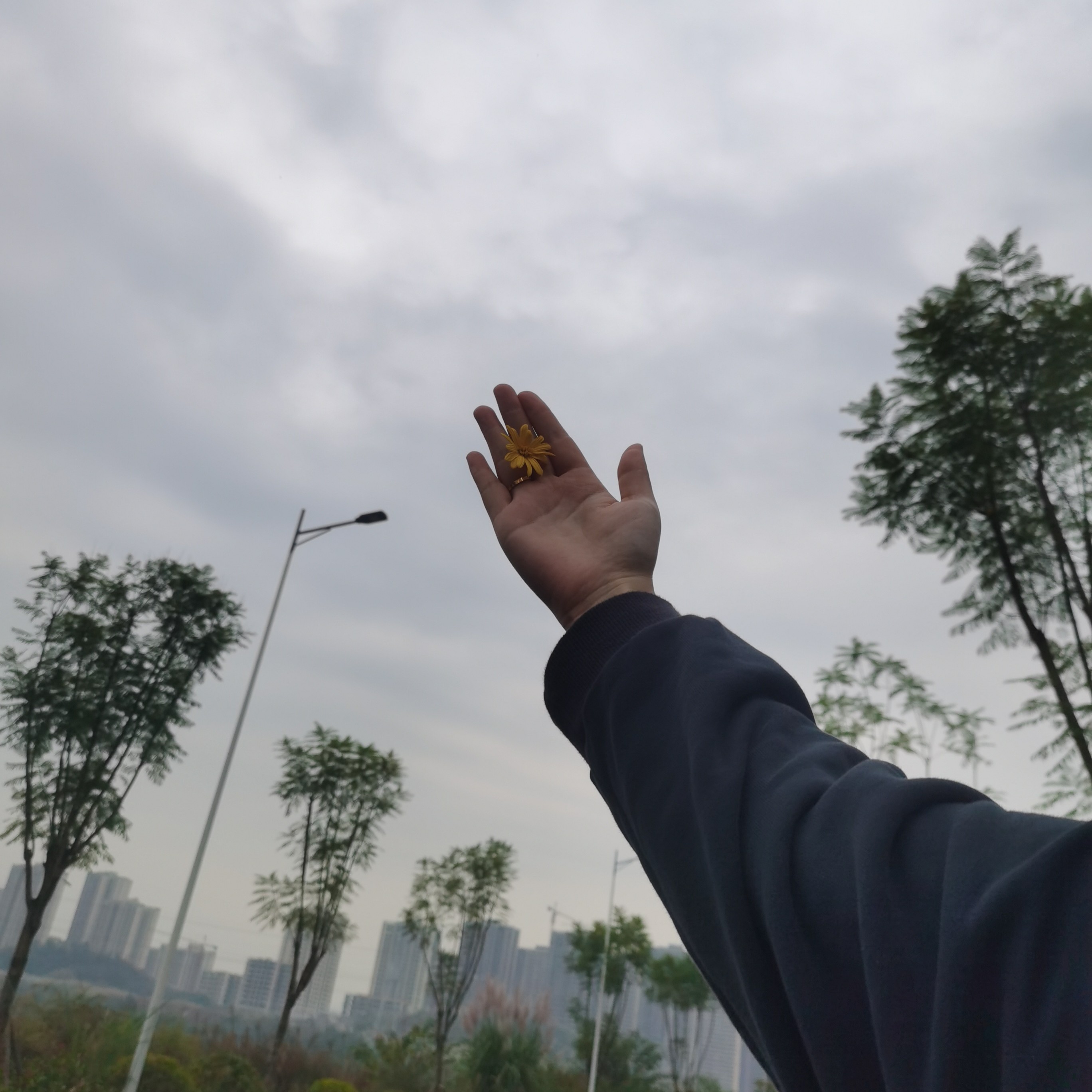数学包老师 