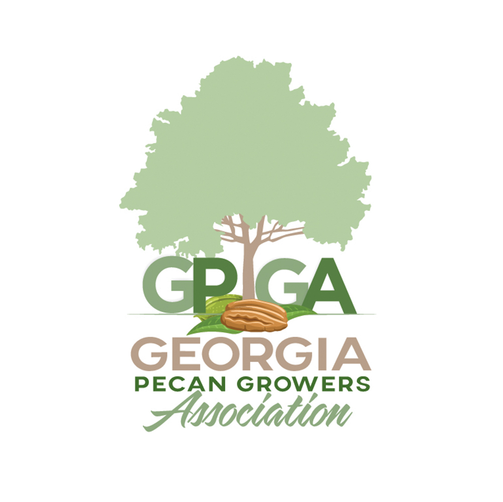 佐治亚州碧根果 