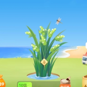 夏莲的柚子 