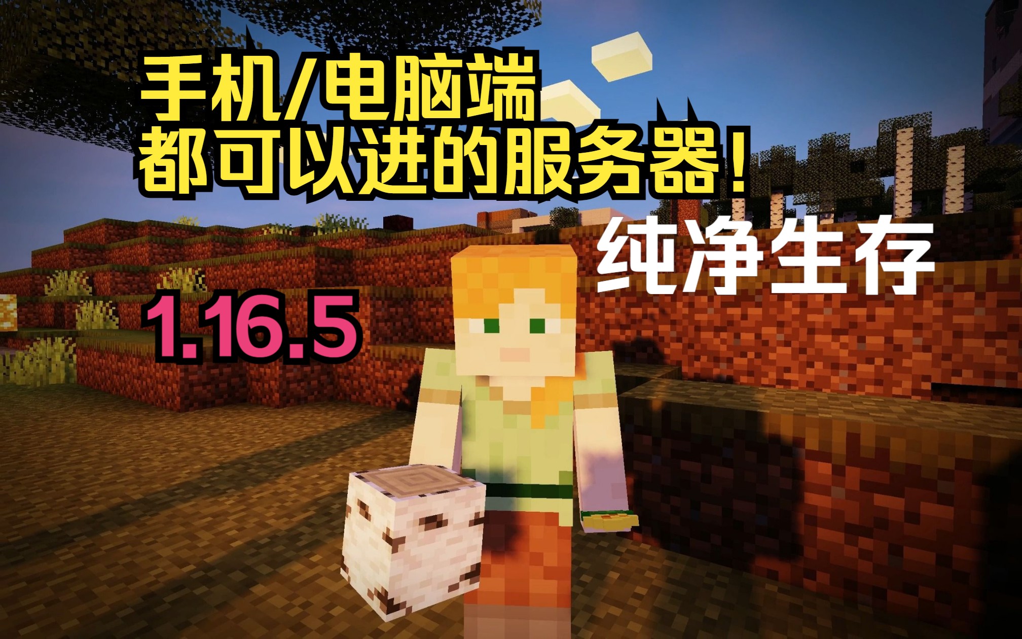 【Minecraft1.16.5】环境融洽和谐的纯净生存服务器!无需正版,手机...