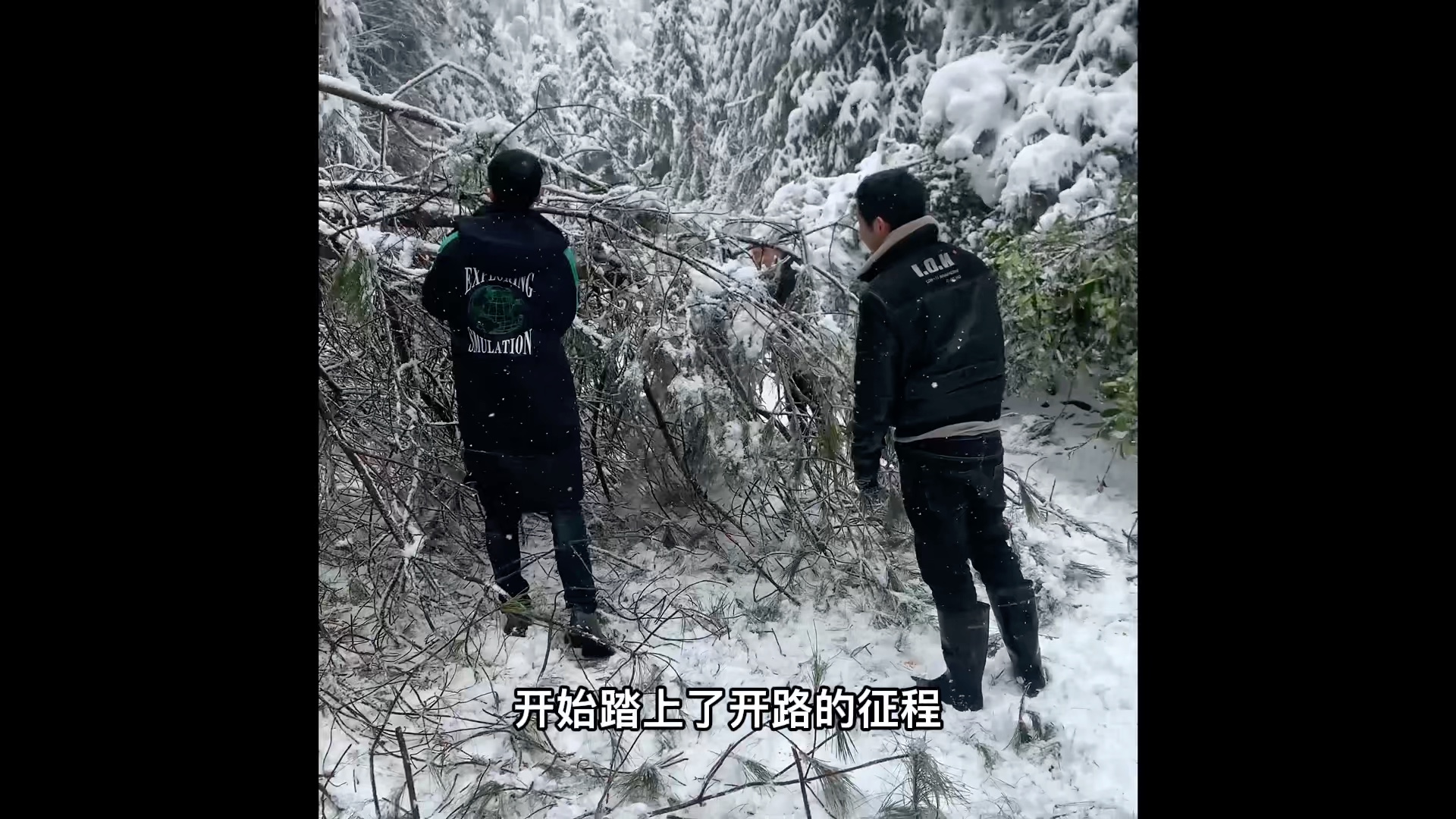 寒假社会实践报告