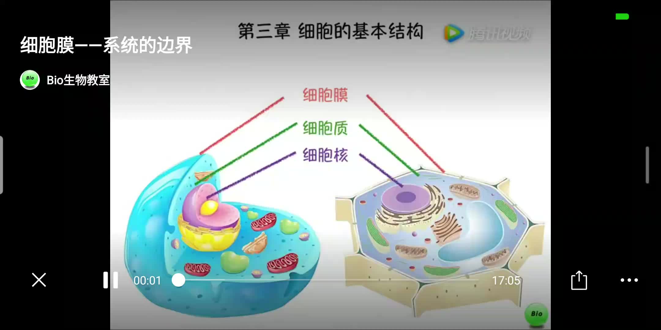 细胞膜的结构和功能