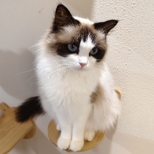 爱打瞌睡啦啦啦啦 