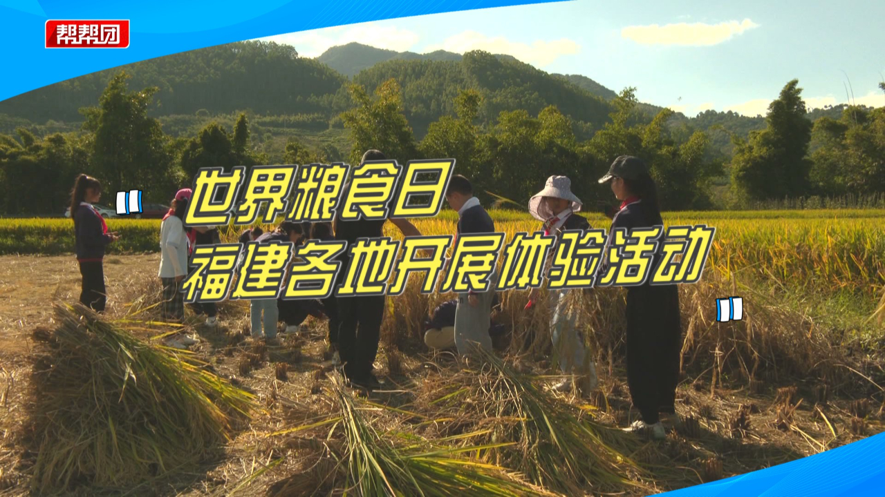 清点稻穗、收割稻谷,福建各地开展体验活动,珍惜粮食拒绝浪费