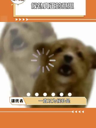 原来候补是这个意思啊#春运 #候补车票