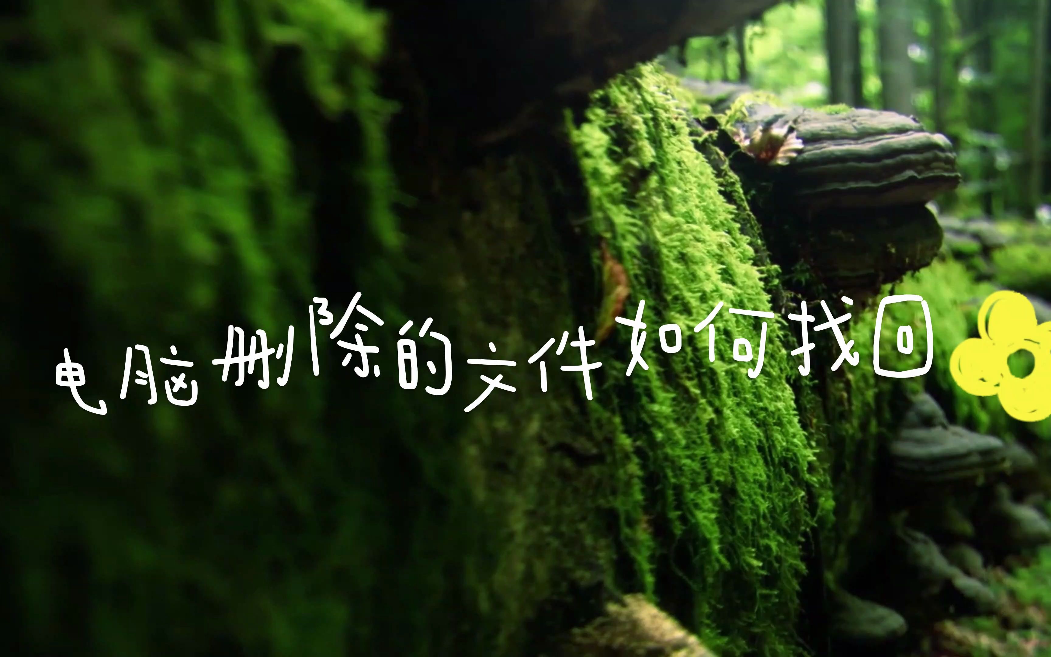 电脑删除的文件如何找回