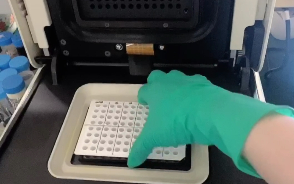 荧光定量PCR～手已经废了～现在只想摊着