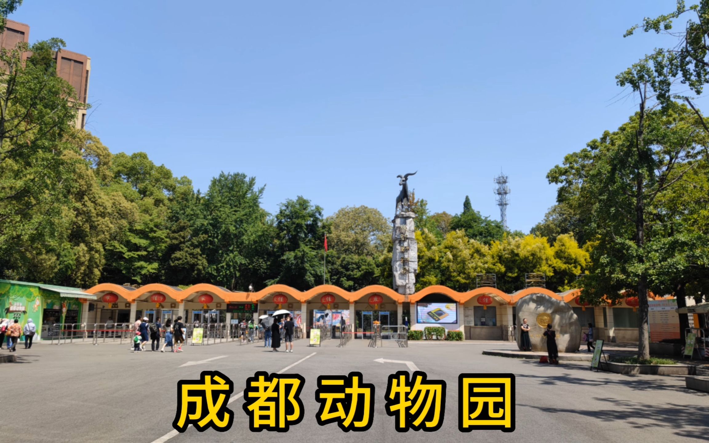 全国十佳动物园之一,成都动物园,门票20,带大家进去整体逛一逛