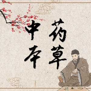 中药本草 