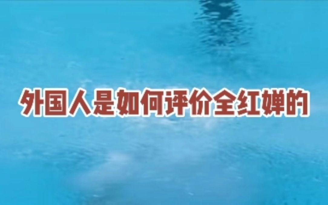 外国人如何评价全红蝉