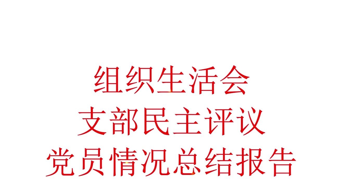 2024年组织生活会支部民主评议情况总结报告
