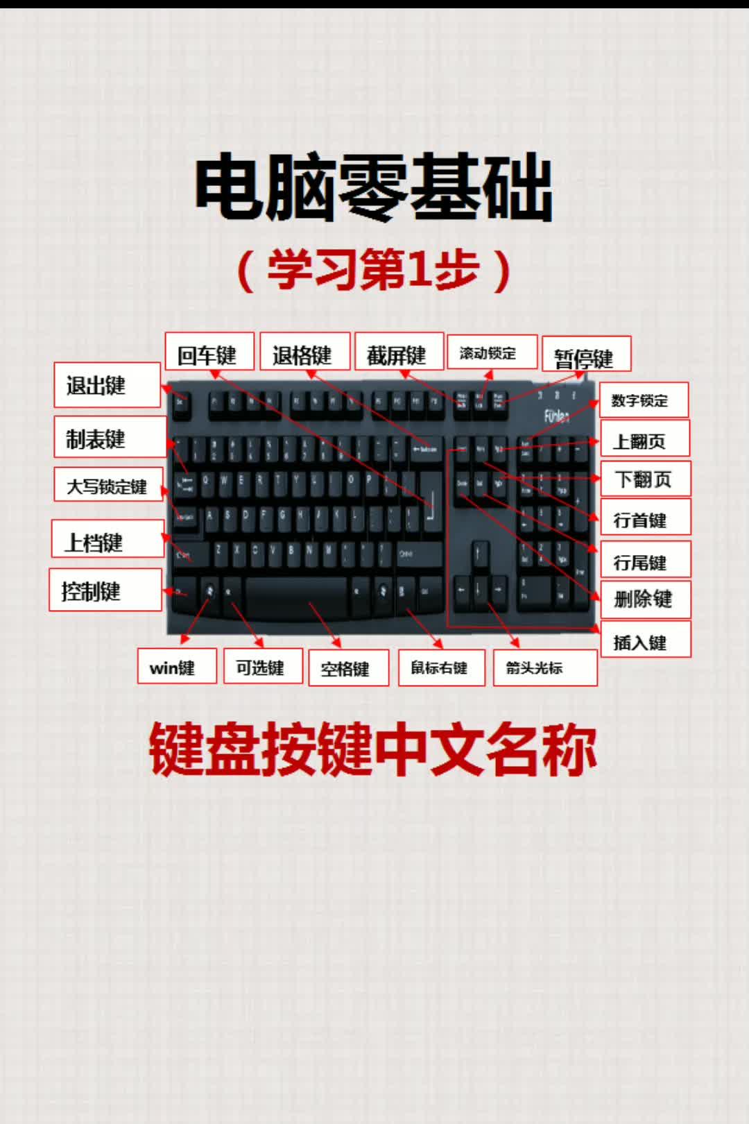 #快捷键 #excel技巧 #excel #wps表格 #wps #wps办公教学 #表格技巧