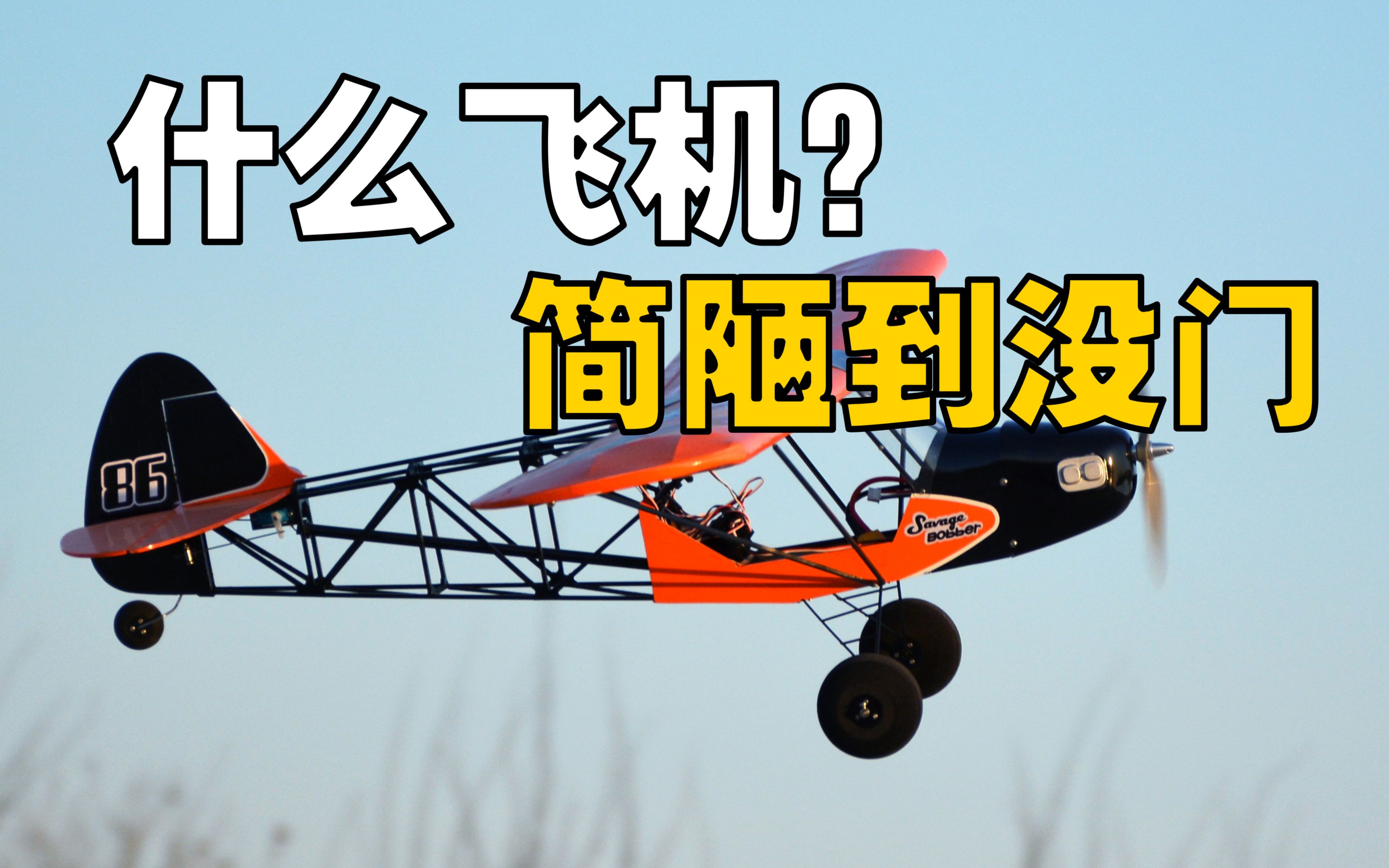 好玩的Savage Bobber,DW精致小飞机鲍勃航模测评