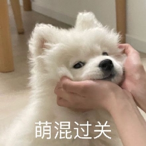 友彦啦 