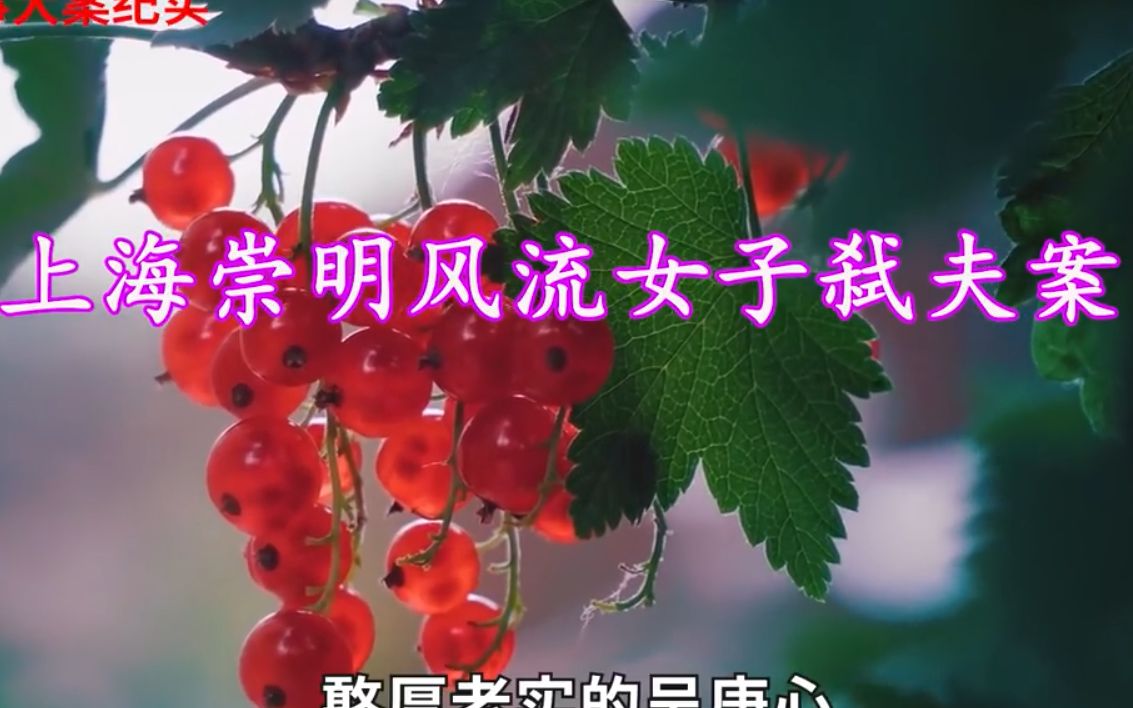 上海崇明风流女子弑夫案 _ 中国刑事大案纪实 _ 刑事案件要案记录